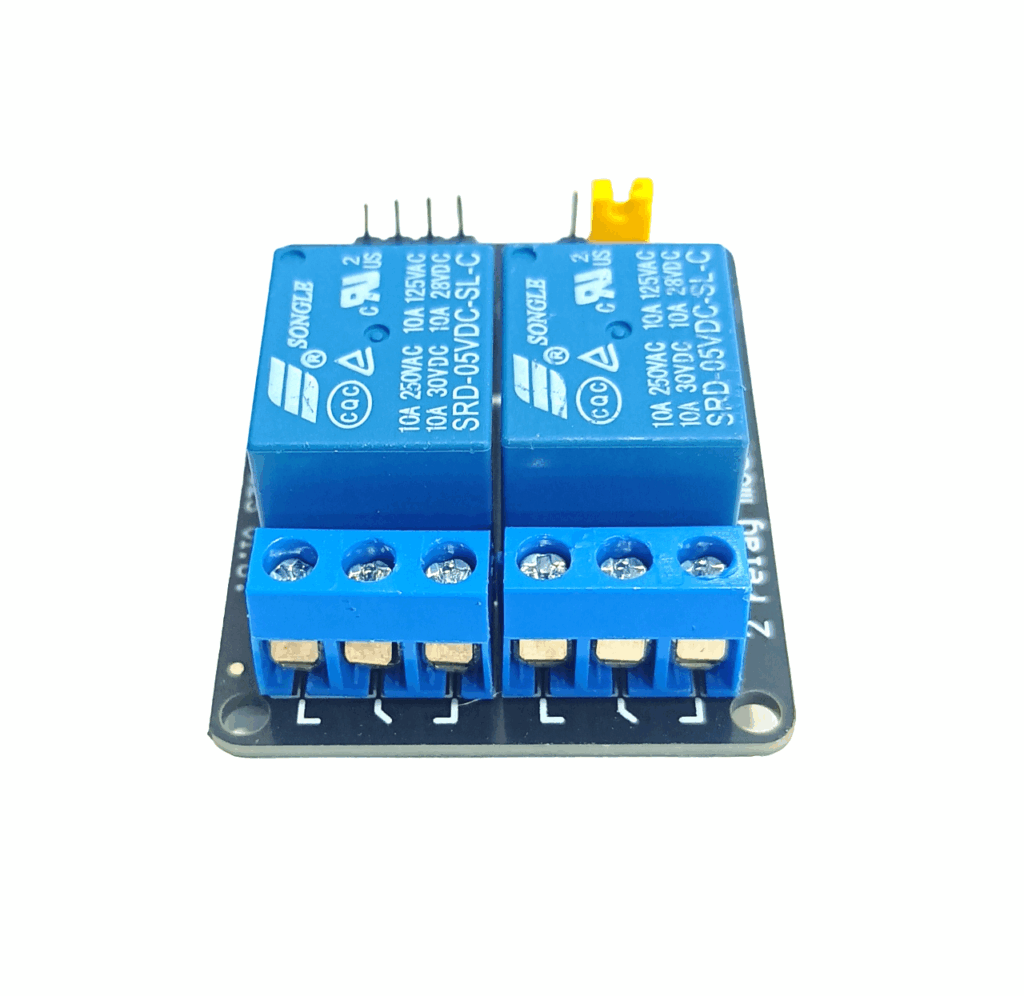 Buy 5v Module 3819 2 Channel Relay | Relay Modules - Zbotic